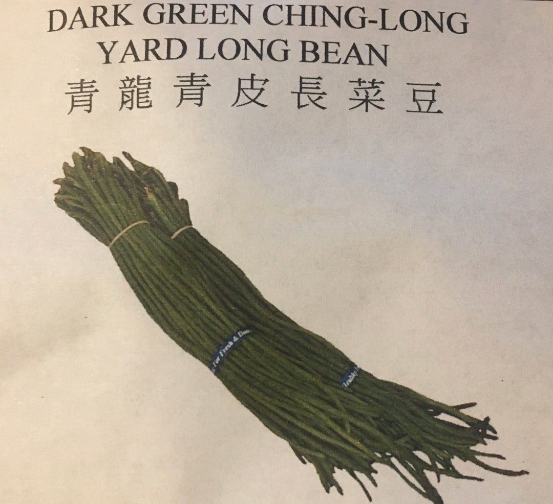 40 Dark Green Qing-long (green Dragon) 青龍青皮長菜豆 Yard Long Bean Seeds ...