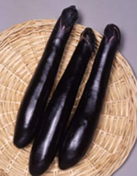 50 Kurume Long Japanese Eggplant Seeds 久留米長茄子 くるめなす 九州野菜 | Etsy