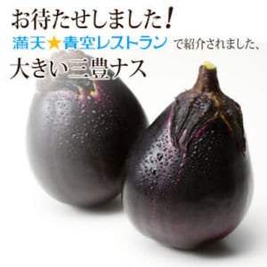50 MITOYO NASU Japanese Eggplant Seeds; 三豊なす 三豊茄子 - Etsy