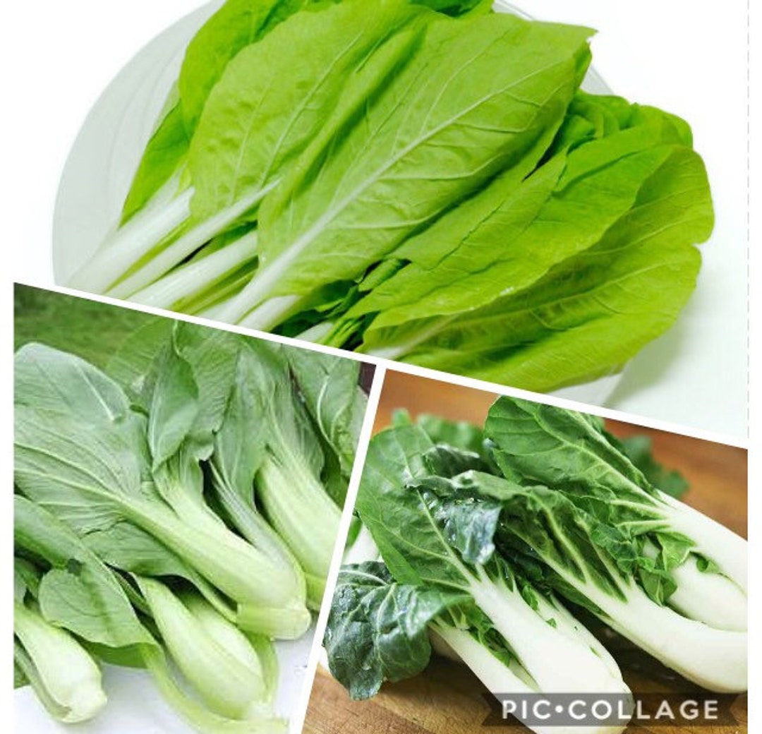 3 X 1/4-oz Pak Choi Trio: Shanghai + Cantonese + Taiwanese; Bok Choy ...