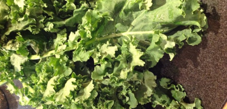 1400 5-gram DWARF SIBERIAN IMPROVED Kale Seeds, Heirloom Non-gmo - Etsy