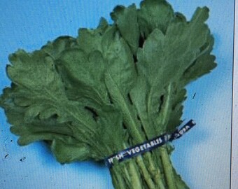 Tong Ho Seeds - Etsy