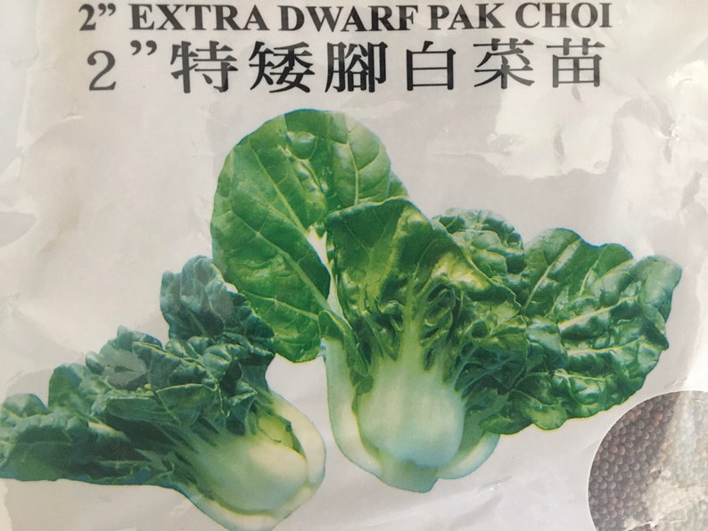 3000+ 1/4-OZ Extra Dwarf Canton Pak Choi Seeds; 2” 特矮腳白菜苗 奶白菜；bok Choy ...