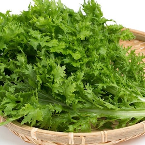 1/8oz 2000 WASABINA Baby Leaf Japanese Mustard Green Seeds; わさび菜 山葵菜 - Etsy