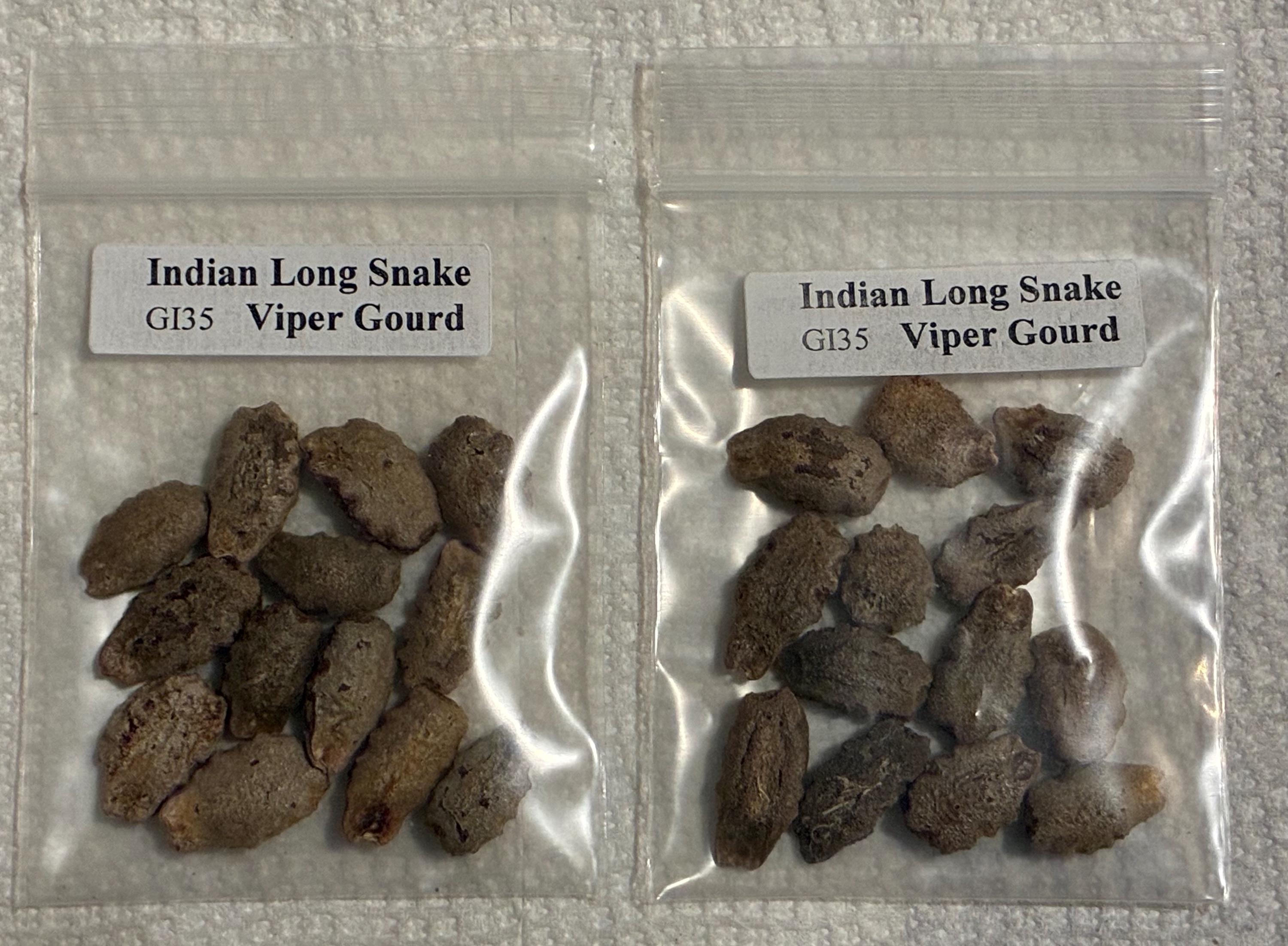Padwal Maharashtra; Indian Long Snake Viper Gourd Seeds; Chichinda ...