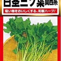 시금치 Seeds (50+) Korean Spinach Seeds - Etsy