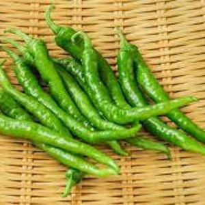 50 Fushimi Sweet Long Japanese Sweet Pepper Seeds; 伏見甘長唐辛子 ふしみあまなが - Etsy