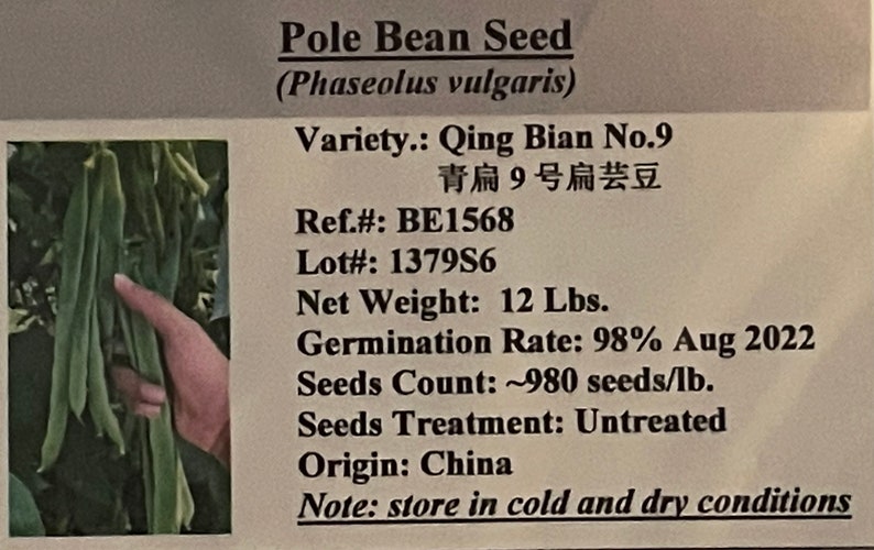 1/2-OZ 30 QING BIAN 9 Romano Pole Bean Seeds Flat Beans - Etsy