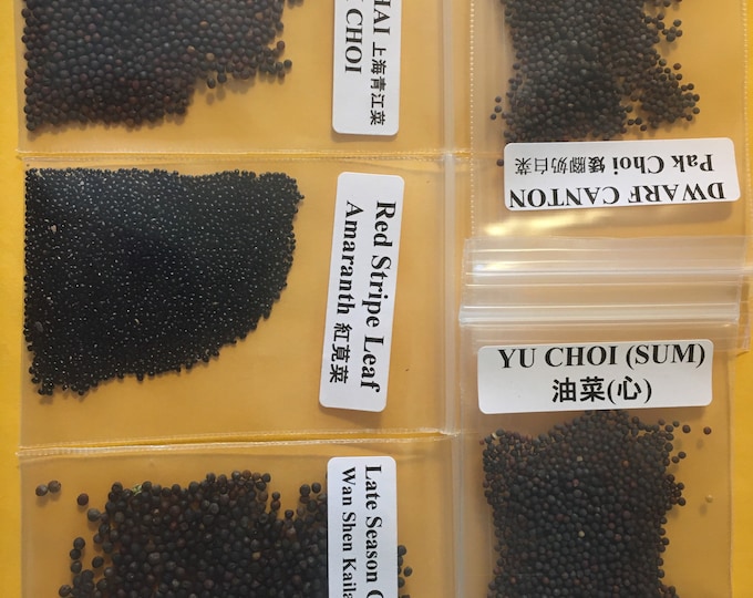8-gram 5000 Asian Summer Greens Seeds Mix Blend: Gai Lan, Yu Choi ...