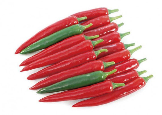 Variedades De Chiles Indios Juego De Chile 1: Semillas De Chile 20