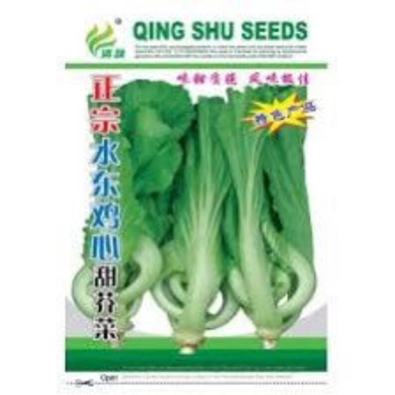 1000 Shuidong Mustard Cabbage Seeds; 水东鸡心芥菜; Great Autumn Crop - Etsy