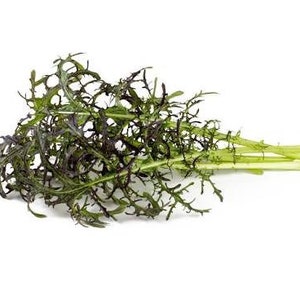 2.5g ~1,000 Scarlet Frills Hybrid Japanese Mustard Green Seeds; Slow ...