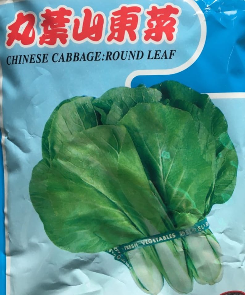 1/4-oz 2800+ Baby TAIWAN Pak Choi Seeds 台灣小白菜; Bok Choy; Heirloom Non ...