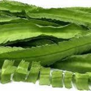 20 WINGED BEAN Seeds; Asparagus Pea, Wing Pea, Four Angled Bean; Dara ...