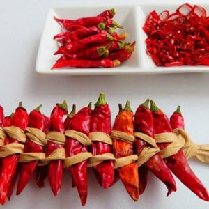 50 Takanotsume Togarashi Japanese Hot Pepper Seeds; 鷹の爪唐辛子; たかのつめとうがらがら ...
