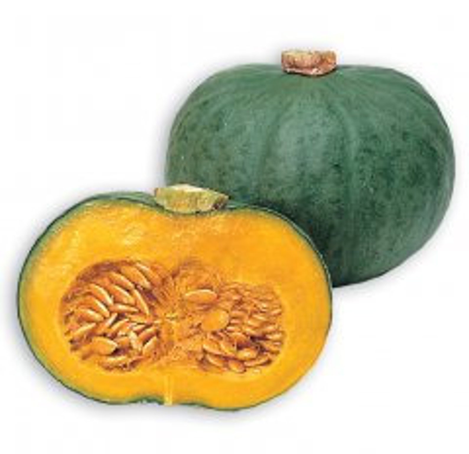 8 BLUE KURI Winter Squash Seeds; Japanese Kabocha - Etsy
