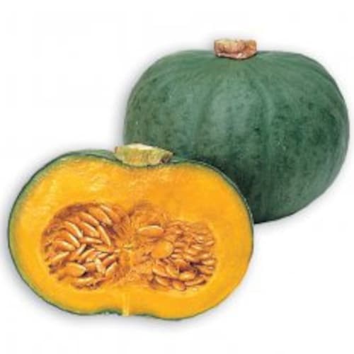 8 BLUE KURI Winter Squash Seeds Japanese Kabocha - Etsy