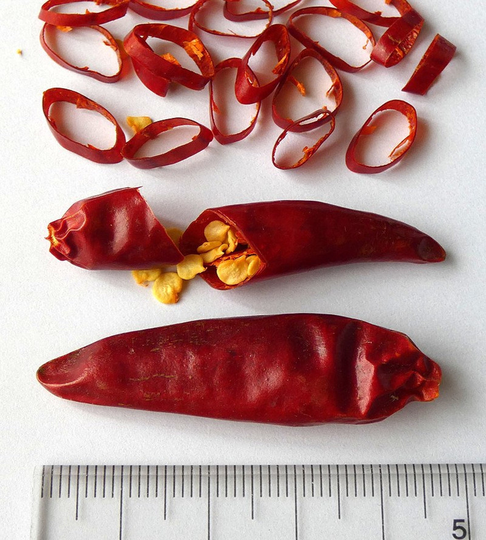 50 Takanotsume Togarashi Japanese Hot Pepper Seeds; 鷹の爪唐辛子; たかのつめとうがらがら ...