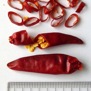 50 Takanotsume Togarashi Japanese Hot Pepper Seeds; 鷹の爪唐辛子; たかのつめとうがらがら ...