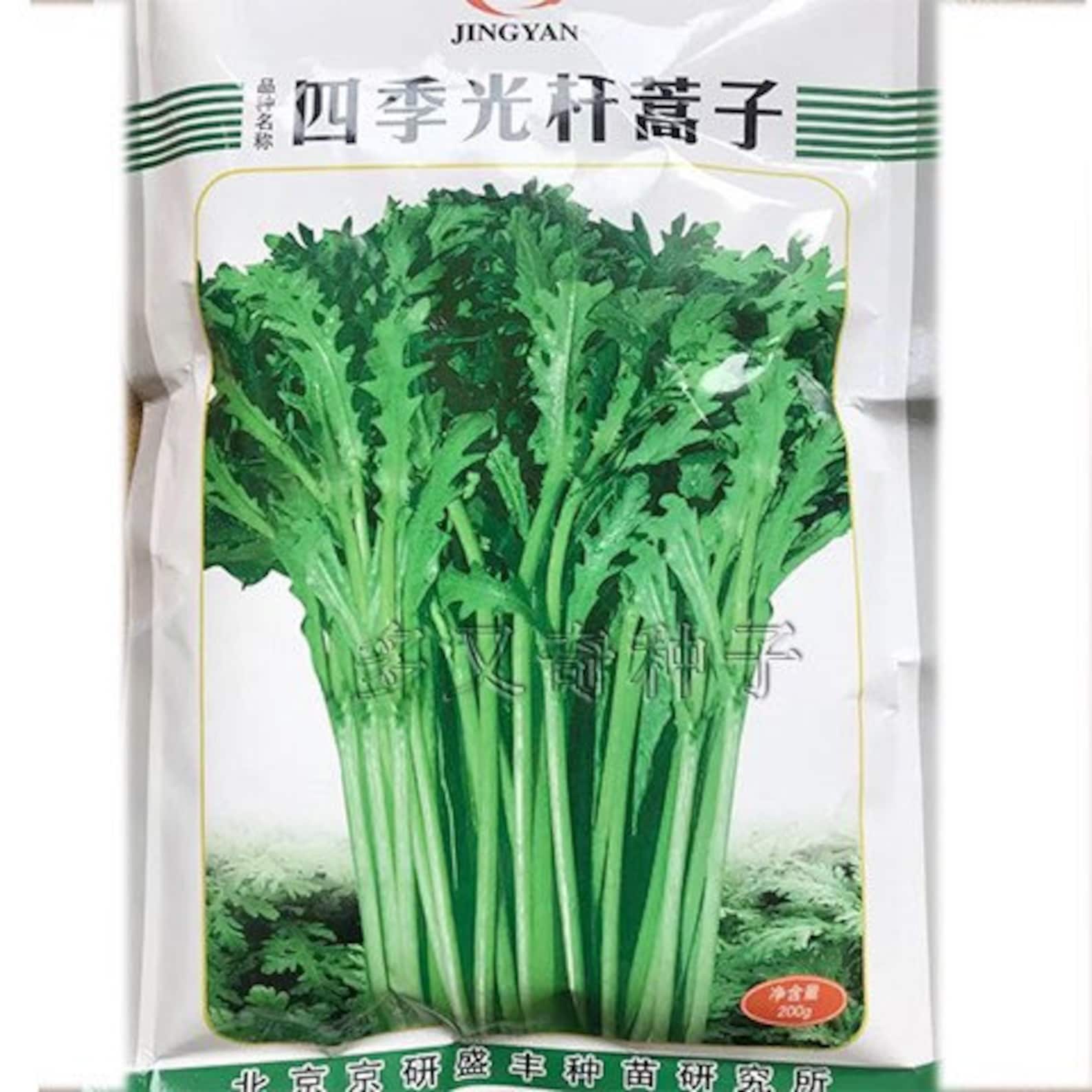 Rare Find 1500 KOMI SHUNGIKU Seeds Long Stem Chrysanthemum | Etsy