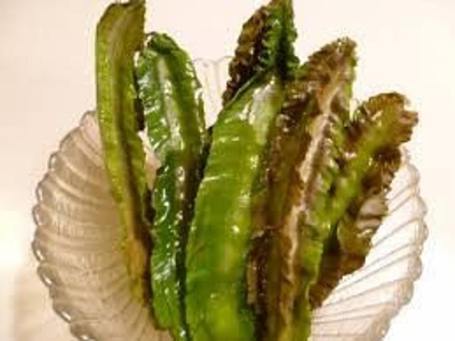20 WINGED BEAN Seeds Asparagus Pea, Wing Pea, Four Angled Bean Dara ...