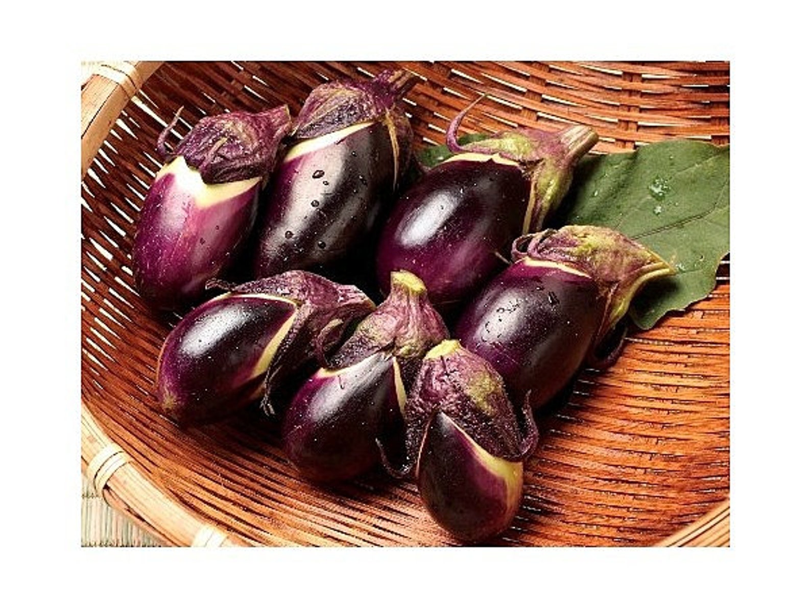 20 Organic SHIMODA NASU Eggplant Seeds 下田なす; Cute Japanese Baby ...