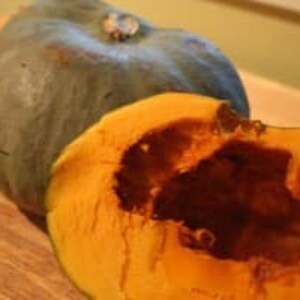 8 BLUE KURI Winter Squash Seeds; Japanese Kabocha - Etsy