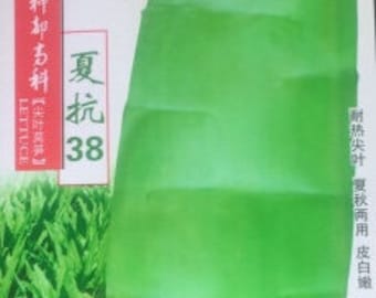 2-gram 2000 SPRING TOWER CELTUCE Seeds, 春秋圓葉綠莴笋 Stem Lettuce Asparagus ...