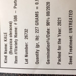 3-gram 600 PORTUGUESE KALE Seeds Portuguese Cabbage Sea - Etsy