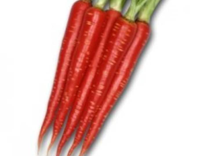 1/16-OZ 1500+ KYOTO RED Japanese Carrot Seeds - Etsy