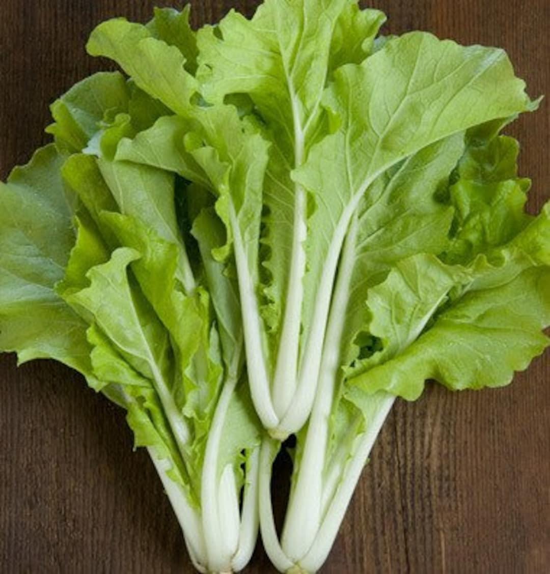 1/4-oz 3000+ TOKYO BEKANA Loose-head Chinese Cabbage Seeds; Popular ...