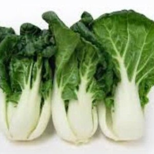 16,000+ 2-OZ Pak Choi Canton Seeds 廣東白菜 / White Stem Bok Choy; Heirloom ...
