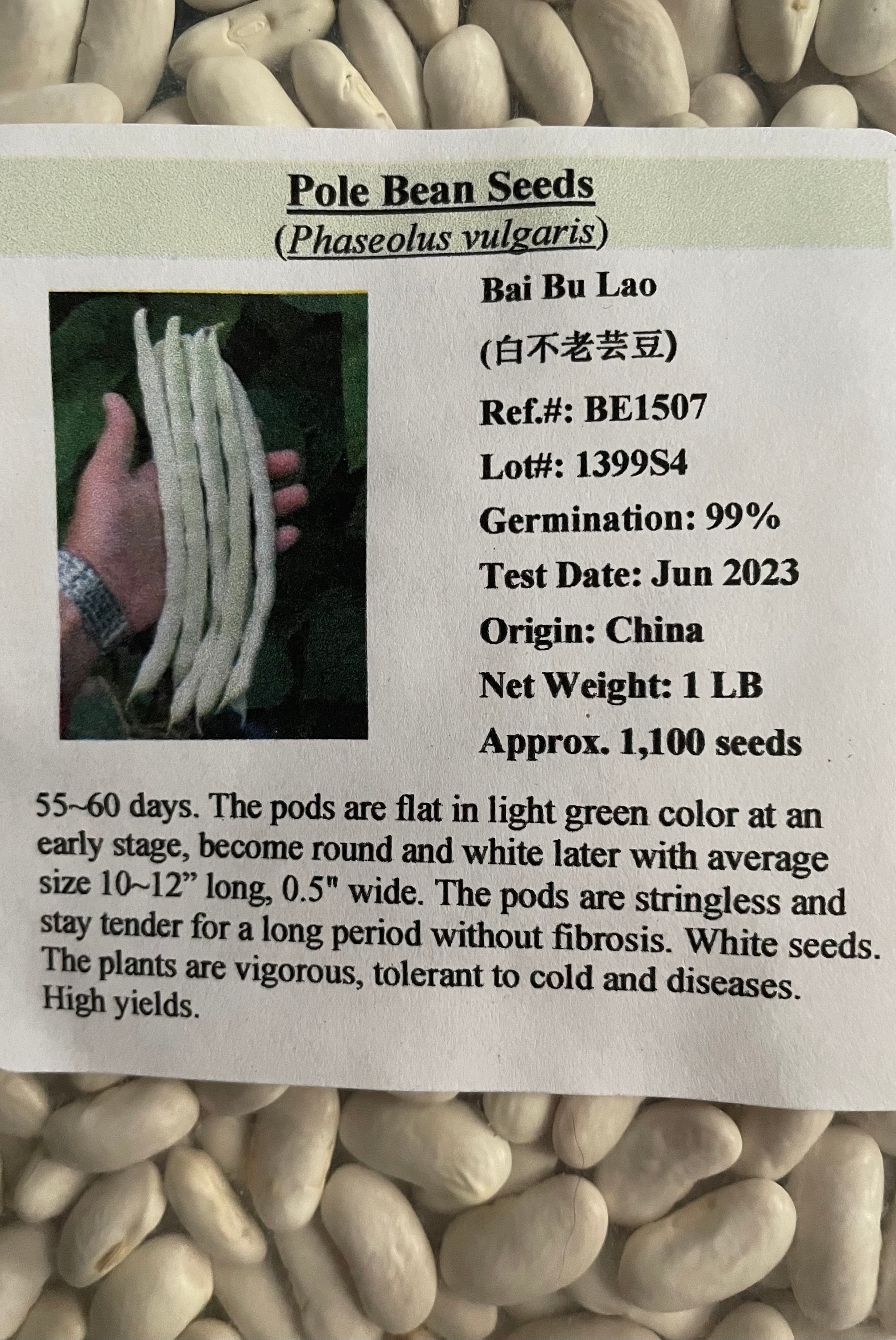 30 BAI BU LAO Romano Pole Bean Seeds; Baibulao; Whitish Flat Beans With ...