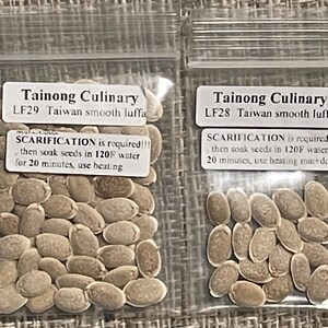 15 Tainong Taiwan Smooth Luffa Seeds; Heirloom Meaty Culinary Loofah ...