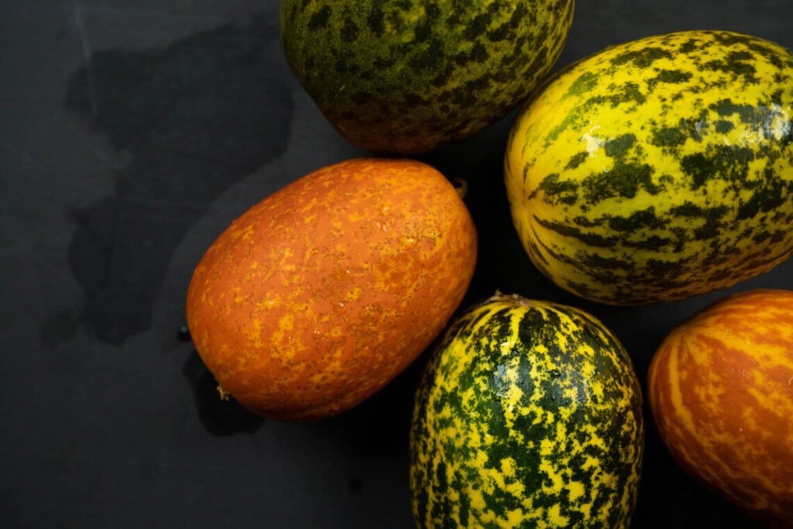 40 Sambar Cucumber Seeds Ancient Indian Heirloom Variety | Etsy