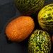 Sambar Cucumber Seeds - Ancient Indian Heirloom Variety, Treated Seeds ...