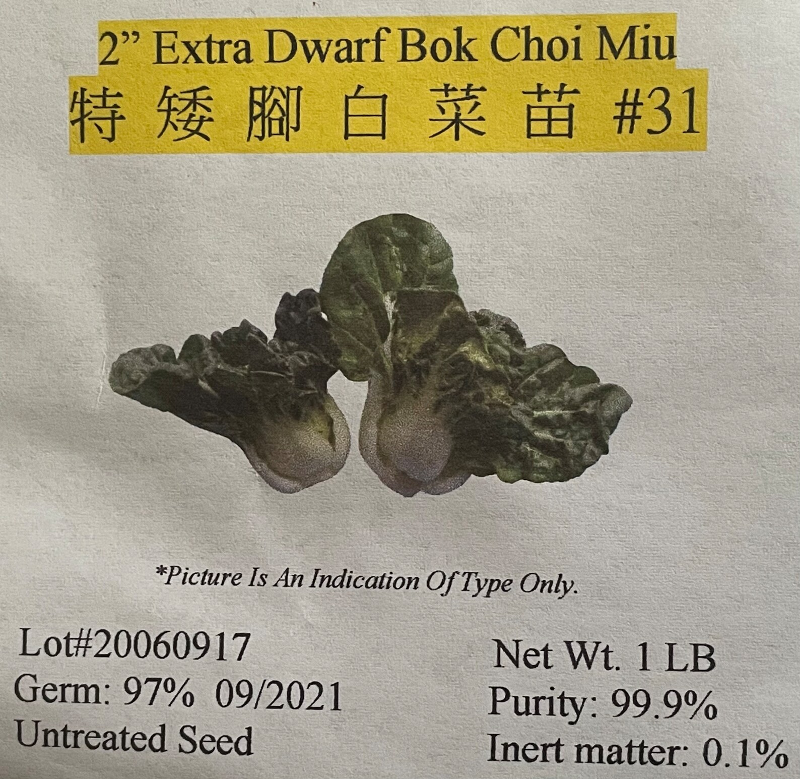 3000+ 1/4-OZ Extra Dwarf Canton Pak Choi Seeds; 2” 特矮腳白菜苗 奶白菜；bok Choy ...