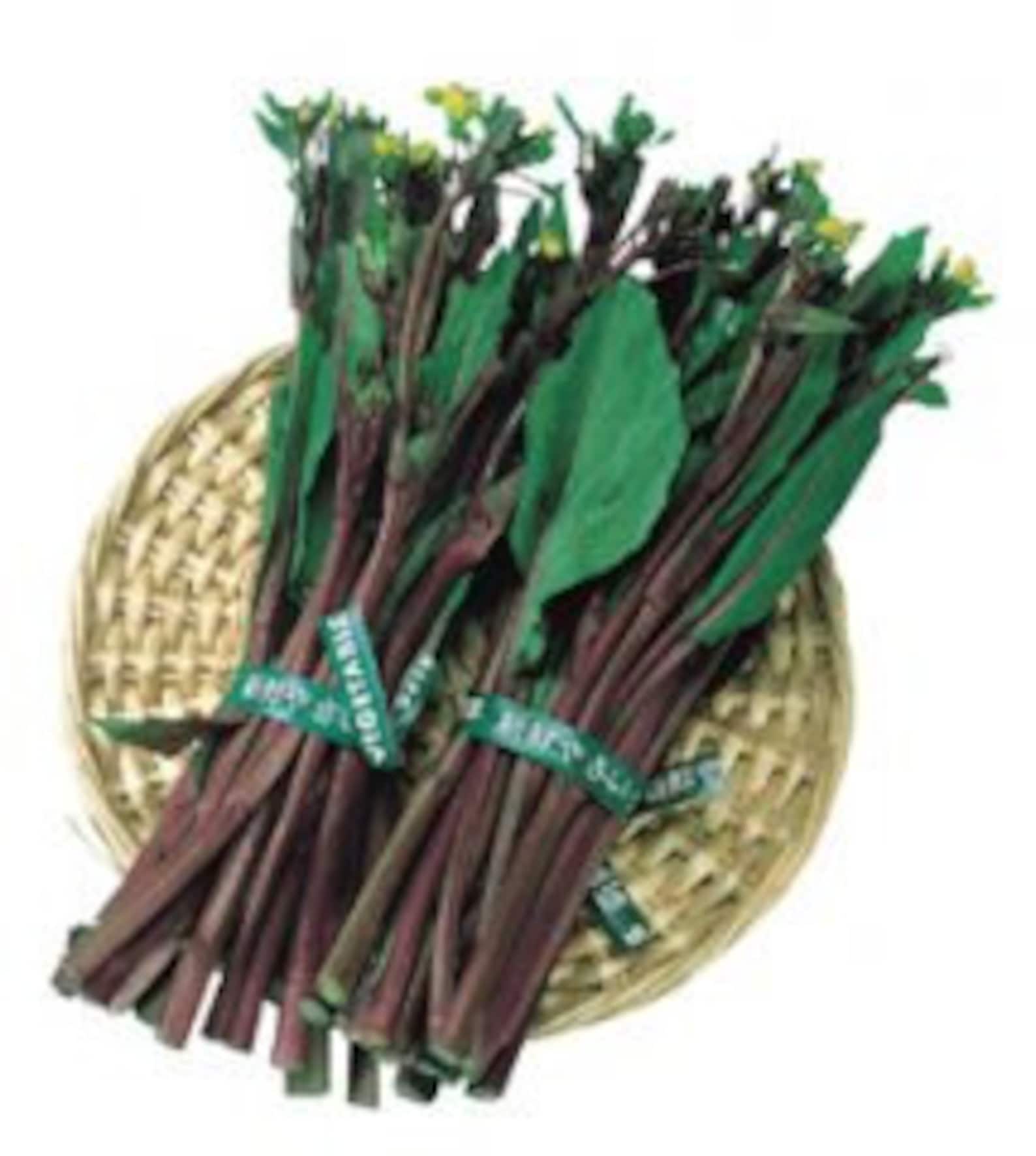 1500 1/8oz Hongcaitai Hongtsaitai Kosaitai Seeds Flowering Brassica 紅菜苔 ...