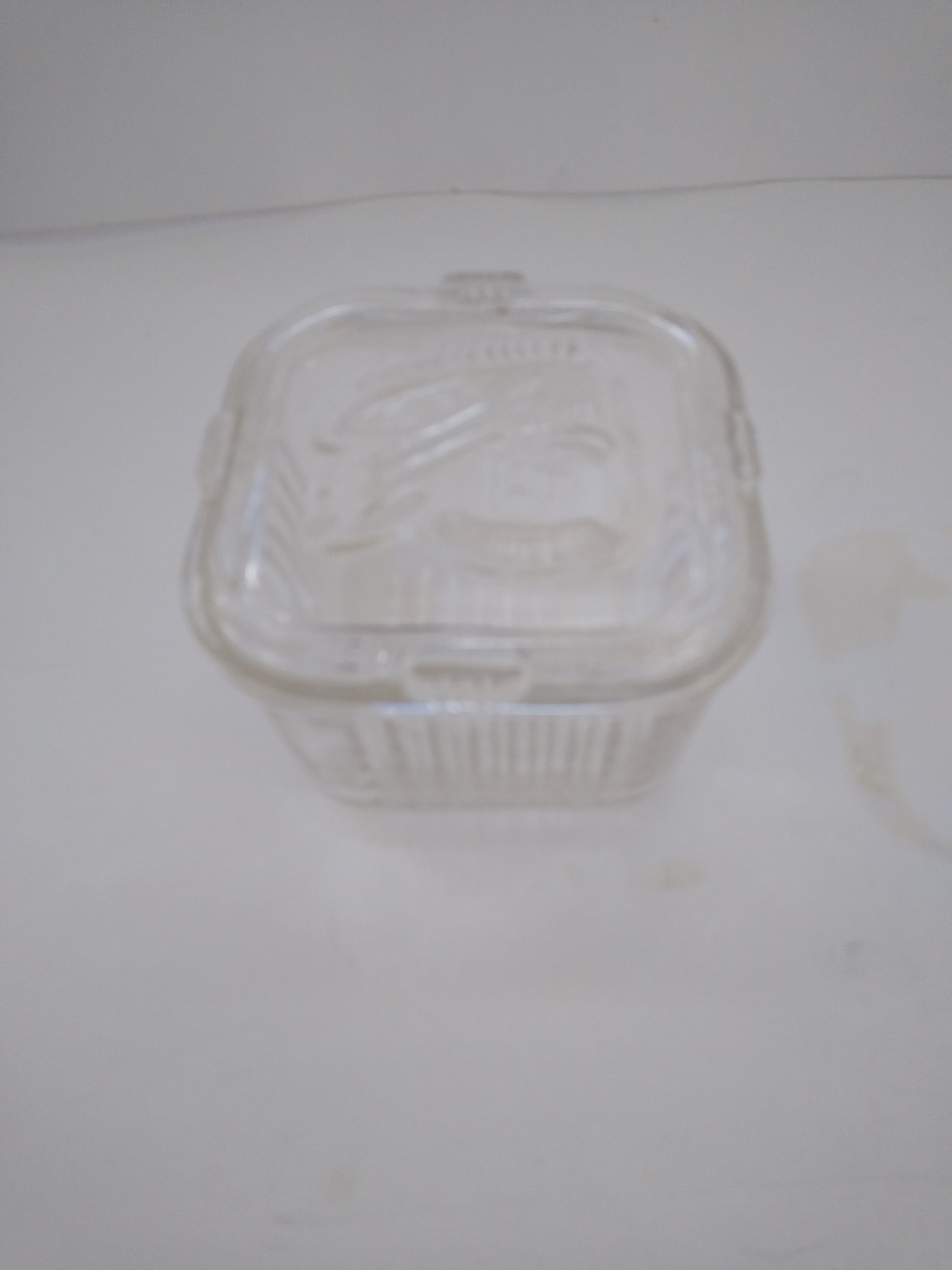 Clear Depression Glass Refrigerator Box With Vegetables 4 X 4 - Etsy