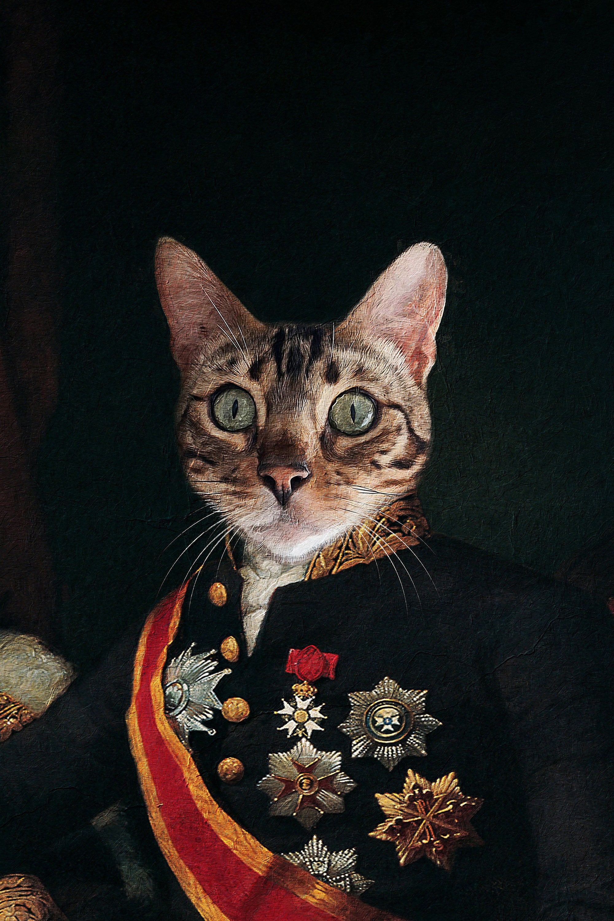 Custom Pet Portrait Pet Portrait Renaissance Cat Portrait - Etsy UK