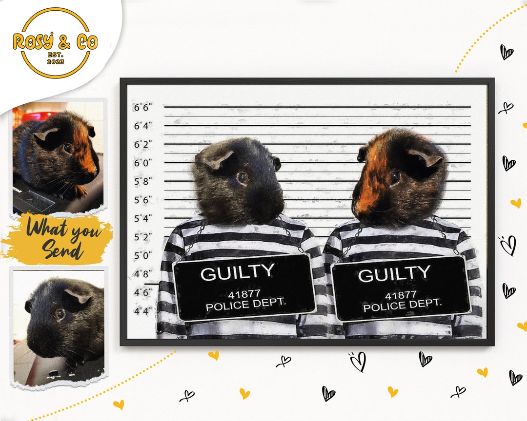 Custom 2 Pet Portrait, Prison Convict Framed Poster, Guinea Pig Gift ...