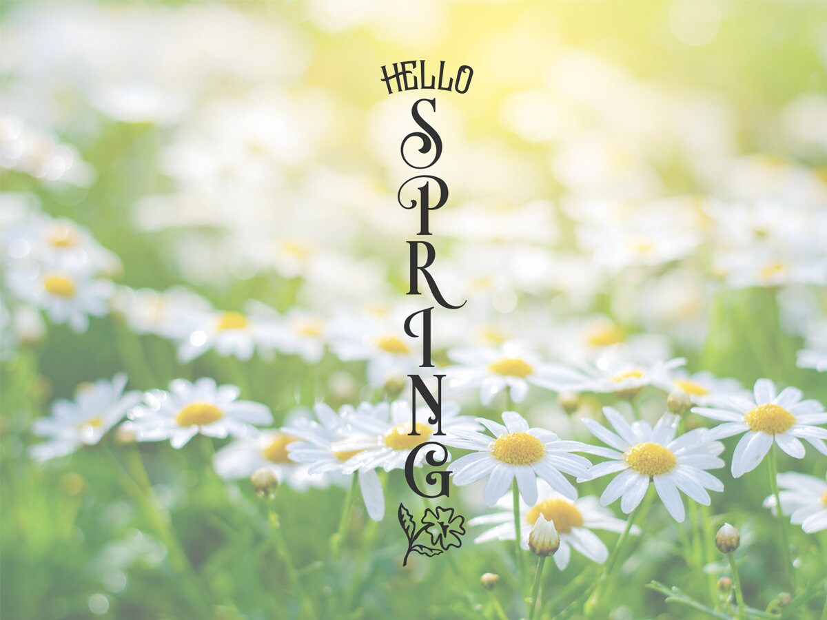 Hello spring svg. Welcome spring svg. Spring porch sign svg. | Etsy