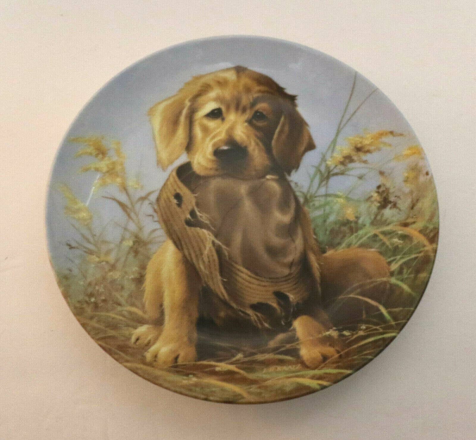 Field Puppies Collectors Plates Retrievers - Artist Lynn Katz by UKC - Etsy
