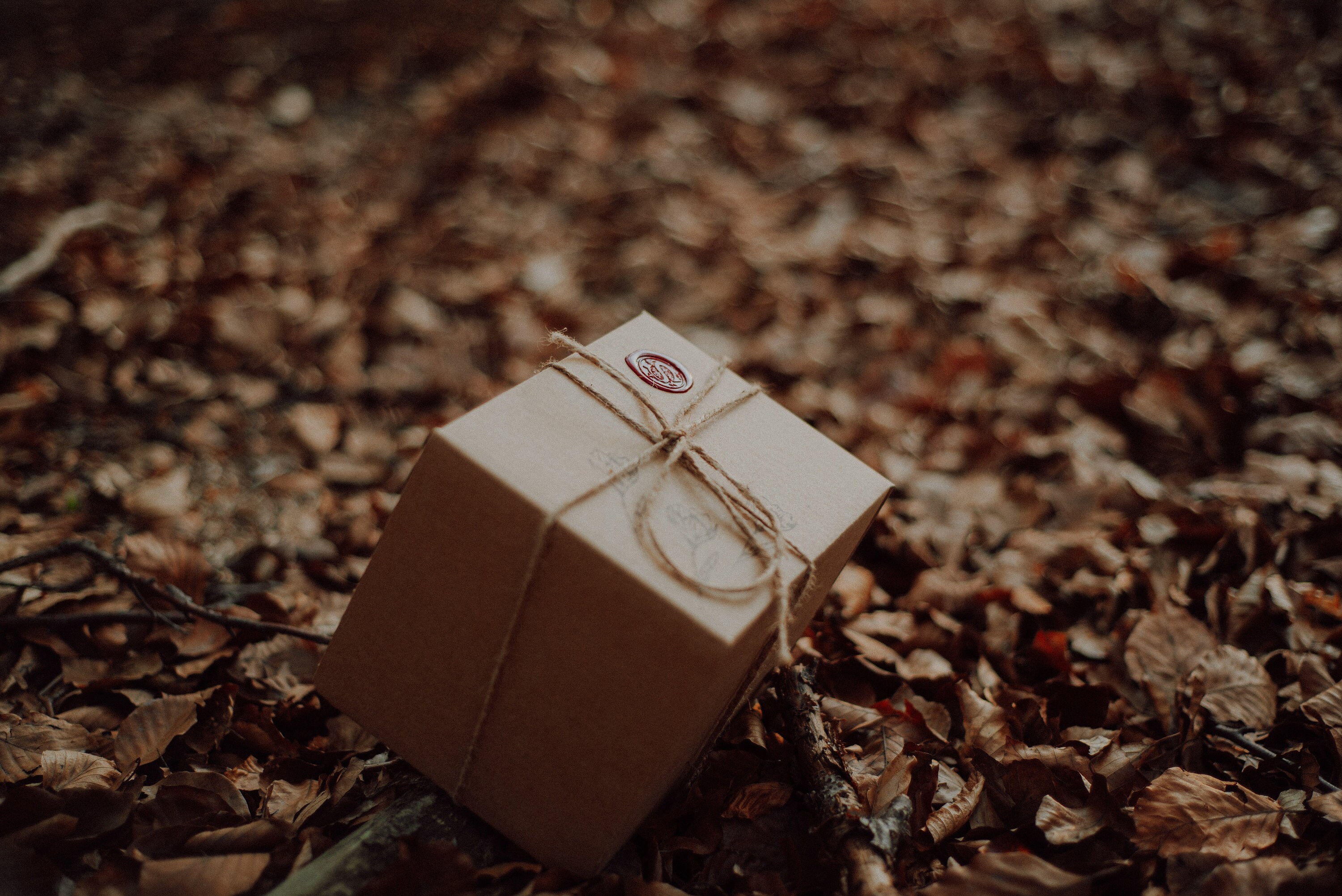 Magical Unicorn Mug Hand Painted Fantasy Art Unicorn Custom - Etsy