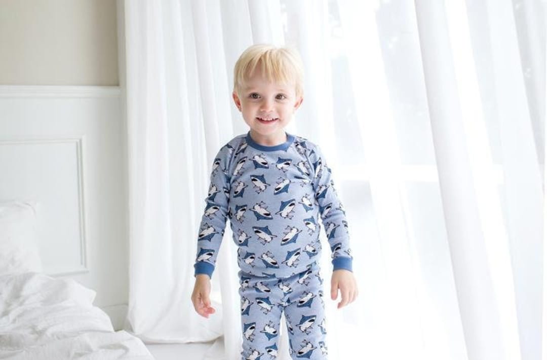 Shark Kids Pajama Set, Toddler Jaws Pajamas, Baby King Shark Pajamas in ...