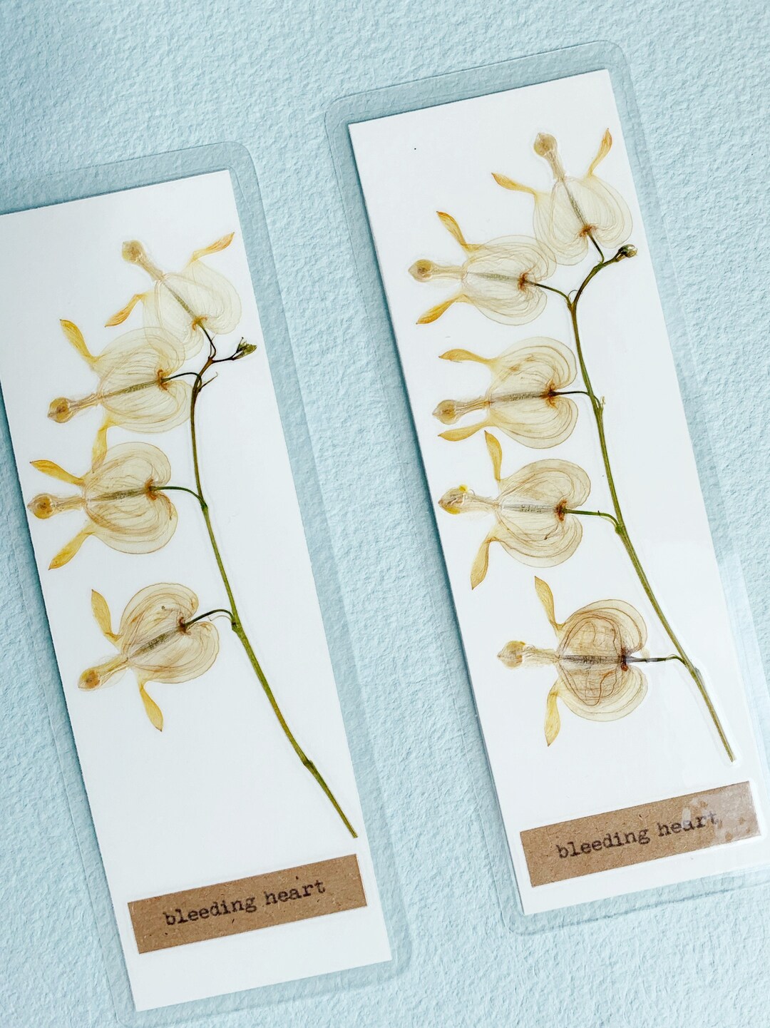 Bleeding Heart - Laminated Pressed Flower Bookmark - Etsy