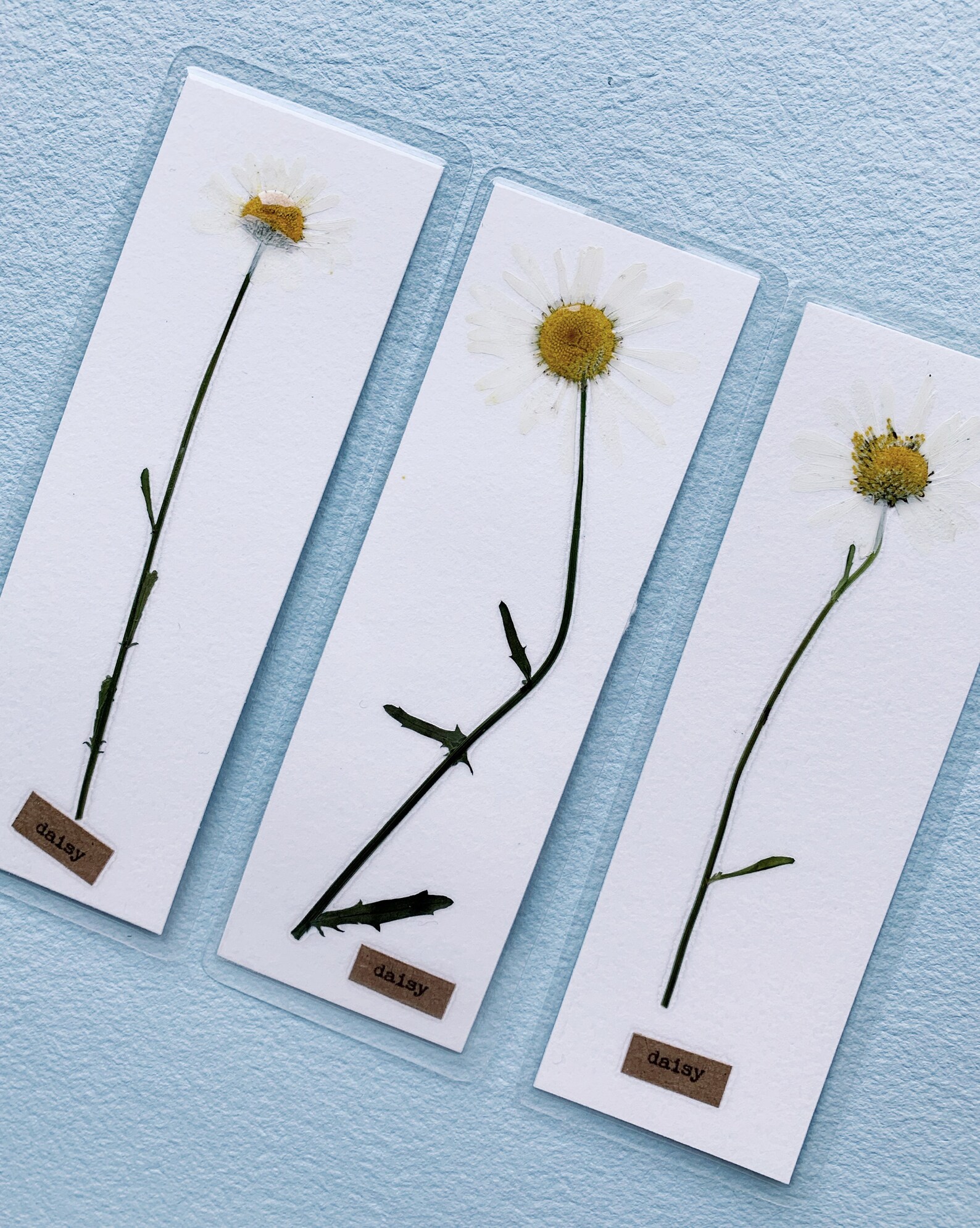 Daisy Laminated Pressed Flower Bookmark - Etsy