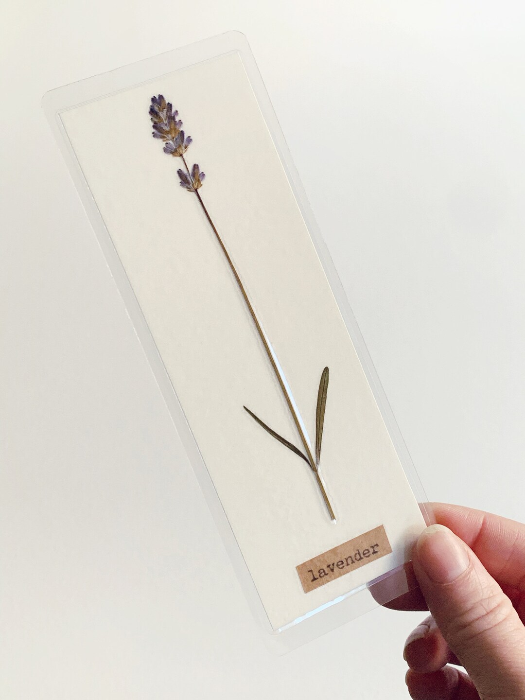 Lavender - Laminated Pressed Flower Bookmark - Etsy