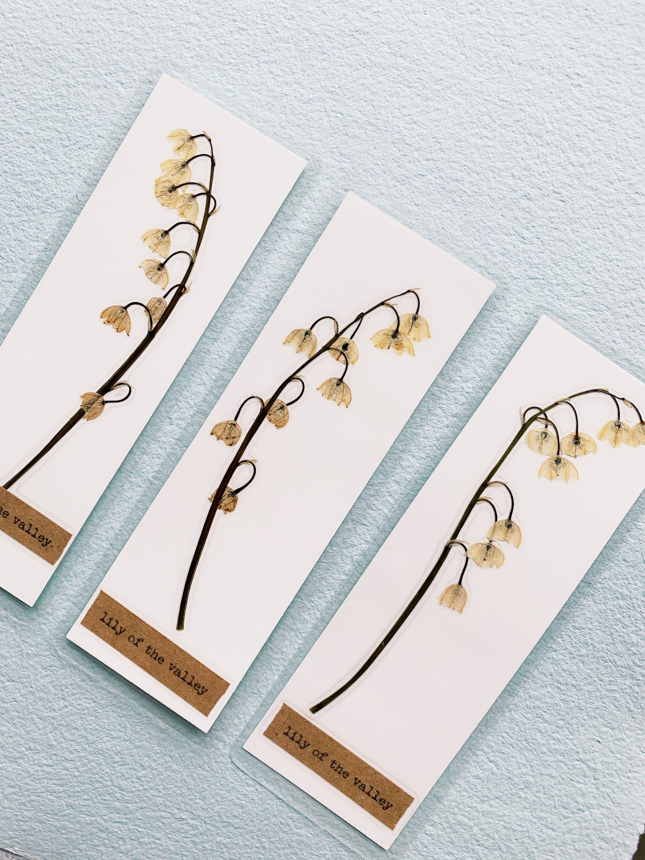 Lily of the Valley - Laminated Pressed Flower Bookmark - Etsy