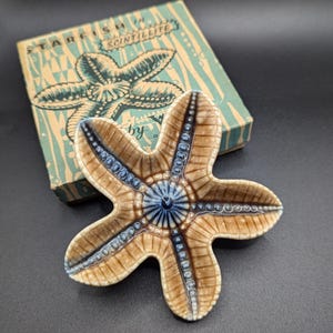Vintage Starfish Trinket Dish. Scintillite Wade Trinket Dish With ...